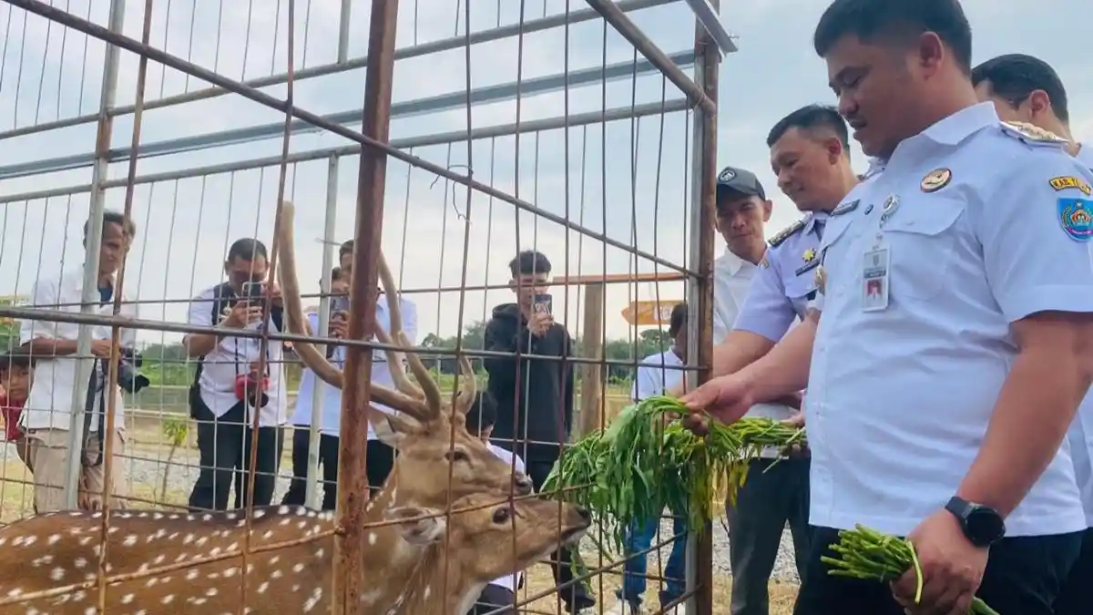 Bupati Tegal Groundbreaking Sabin Garden: Wisata Edukasi Mini Zoo Baru ...