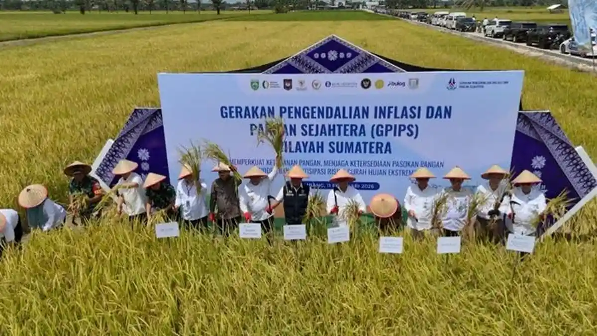 Rakor GPIPS di Tengah Sawah Kabupaten Banyuasin, Bupati Askolani ...