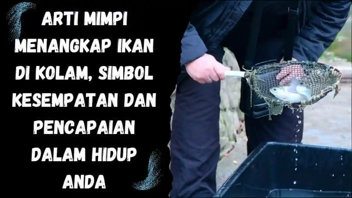 Kejar Impian! Arti Mimpi Menangkap Ikan di Kolam, Simbol Kesempatan dan ...