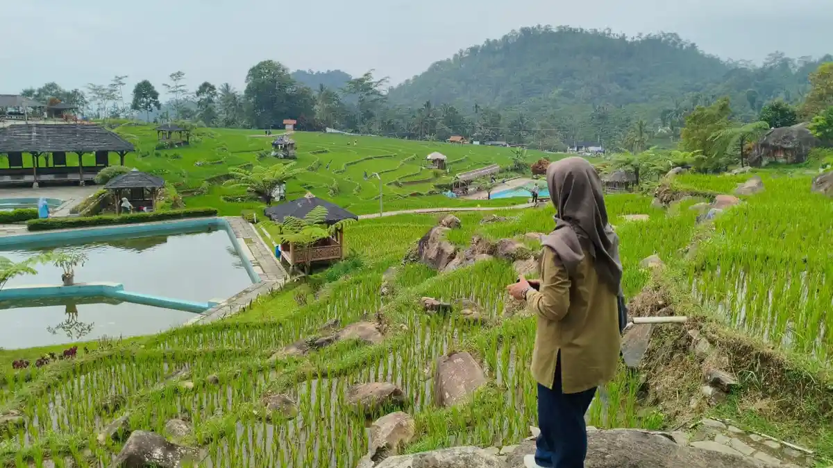 Pesona Desa Melung Juara Wisata Nasional: Transformasi Desa Tertinggal ...