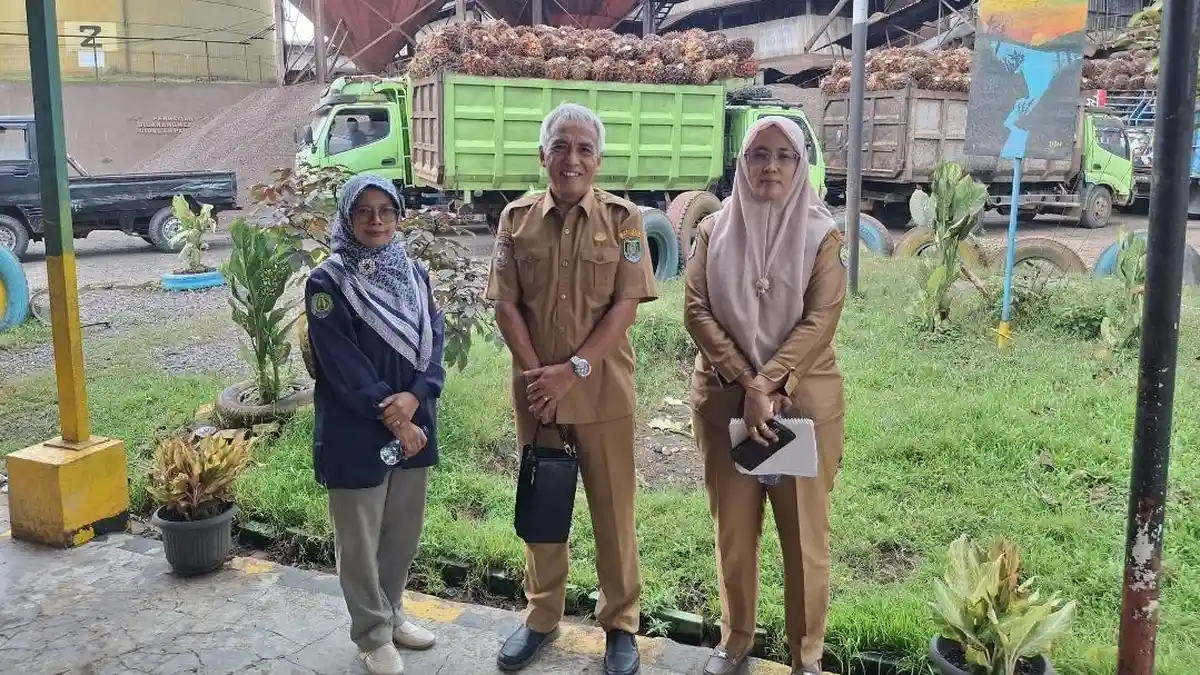 Distan Bengkulu Tengah Turun ke Pabrik, Cek Penyebab Harga TBS Masih di ...