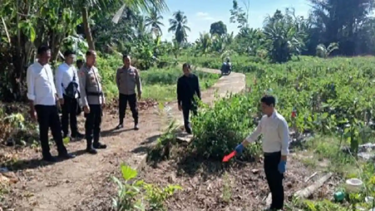 Polisi Beber Kronologi Perkelahian Dua Kakek di Desa Sirih HSS, Korban ...