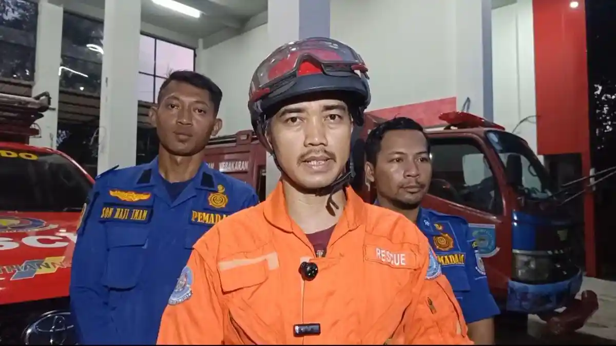 Cerita Damkar Tangsel Bantu Evakuasi Burung Nuri Milik Warga yang Kabur ...