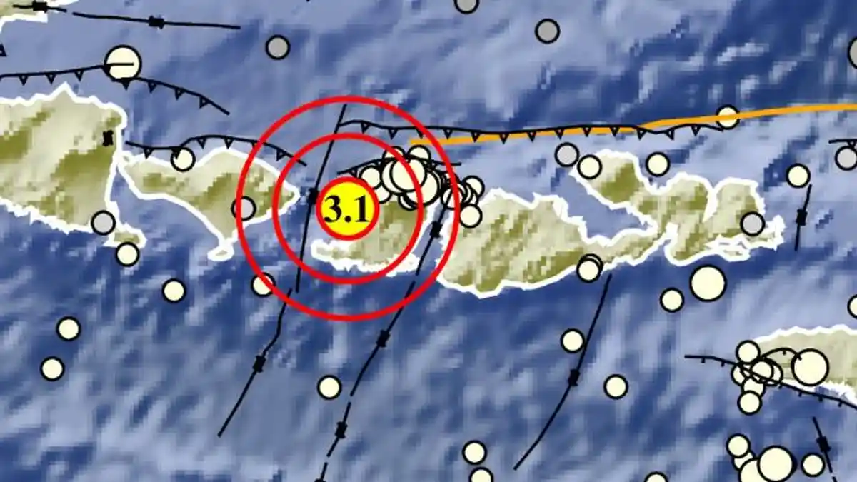 Gempa Bumi dengan Magnitudo 3,1 Guncang Lombok Utara Pagi Ini ...