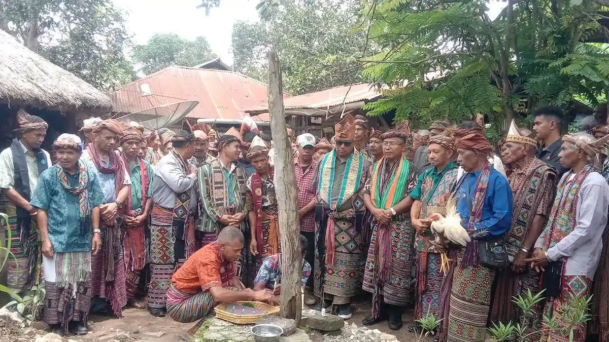 Gelar Ritual Adat di Sonaf Maubes, Bupati-Wakil Bupati TTU Terpilih ...