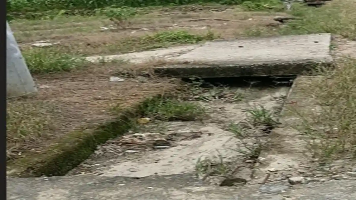 Drainase Depan Bank NTT Cabang Waitabula Penuh Endapan Lumpur Jadi ...