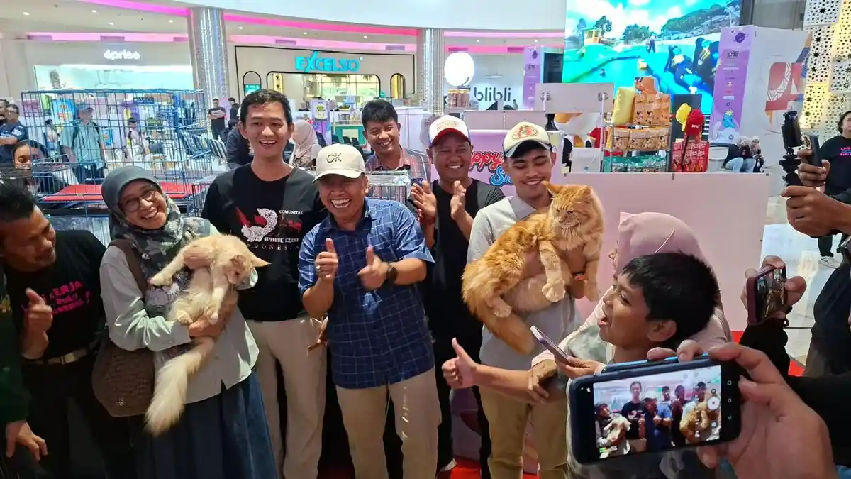 Pecinta Kucing Wajib Merapat, Happy Catz Show 2025 Digelar di Pesona ...