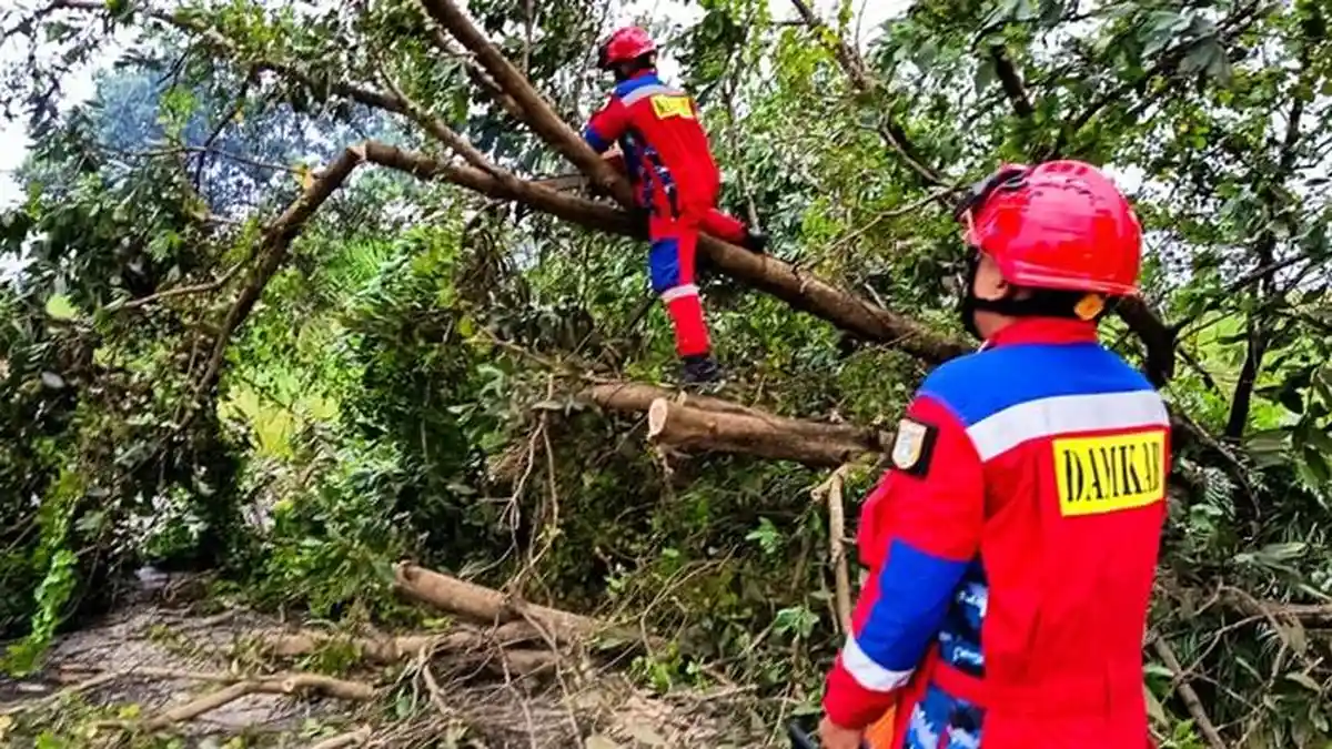 Puting Beliung Rusak Dua Rumah di Kabupaten Banjar, Sejumlah Pohon ...