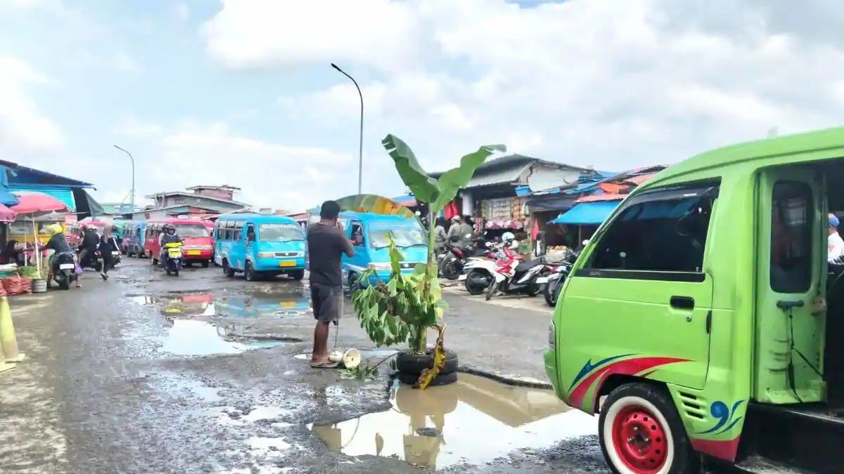 Bak Kebun, Sopir Angkot Tanam Pohon Pisang hingga Singkong di Jalan ...