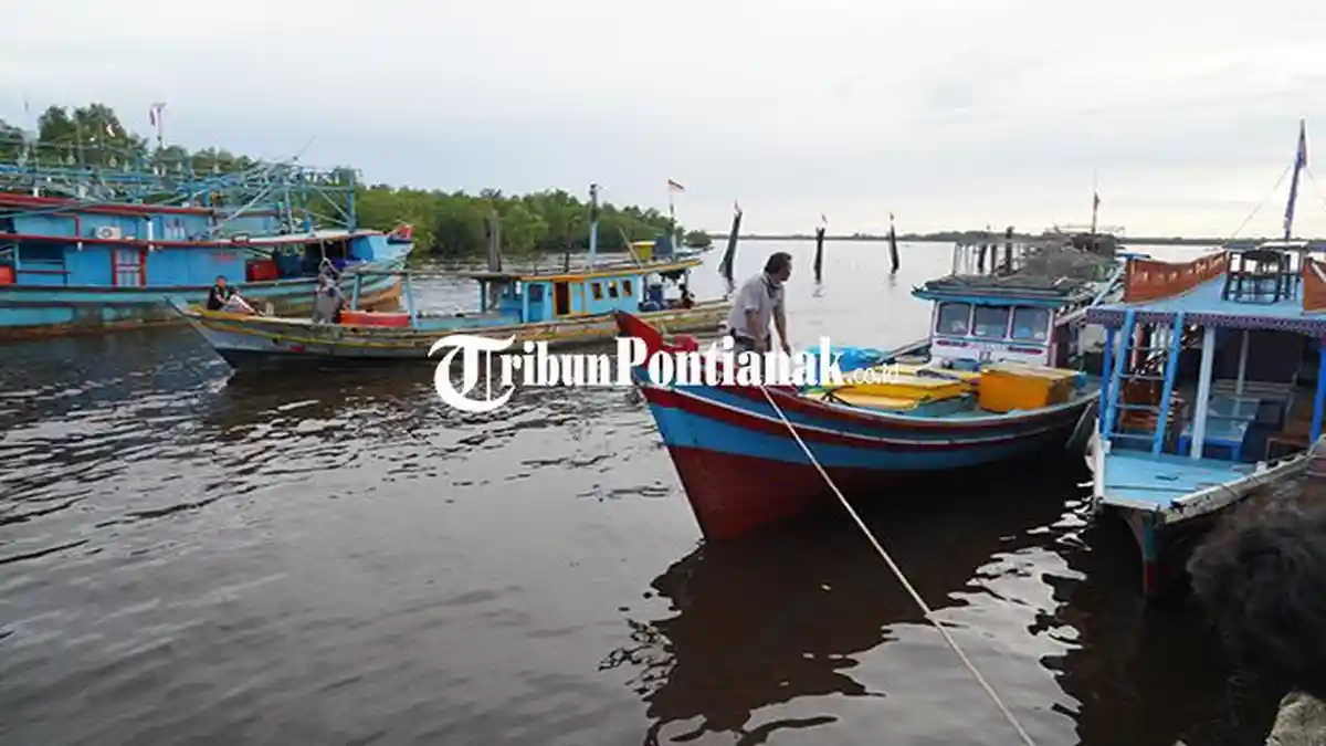 Berikan 4 Contoh Mata Pencarian Penduduk Indonesia yang Tinggal di ...