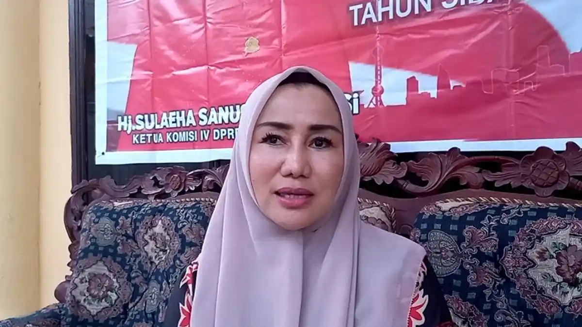 Sulaeha Sanusi Bakal Pindah Dapil Konawe Raya Sultra, Kembali Maju ...