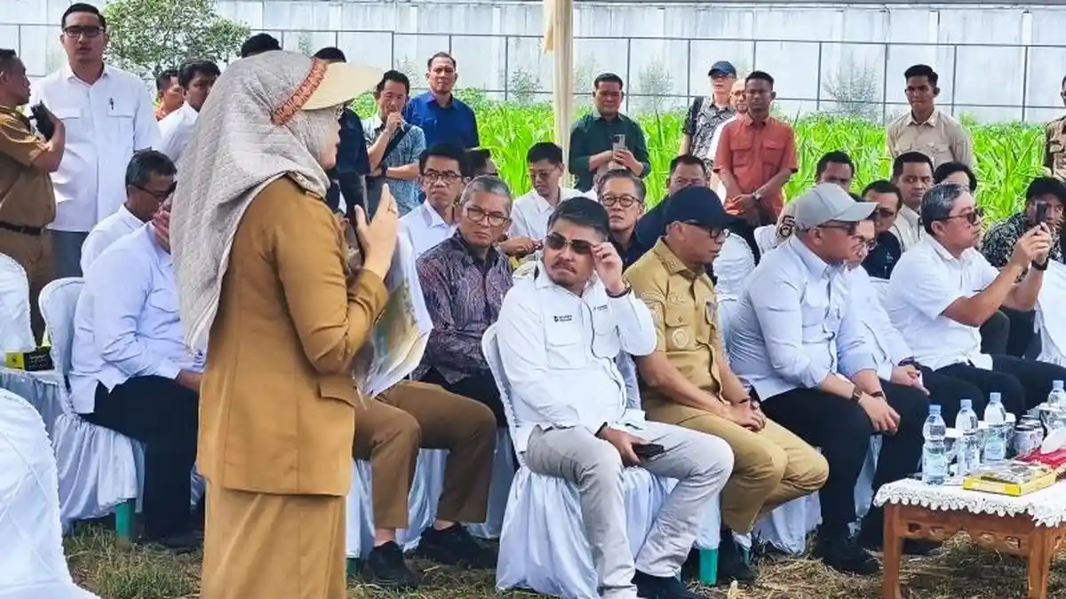 Provinsi Lampung Jajaki Potensi Tanaman Sorgum Dukung Industri ...