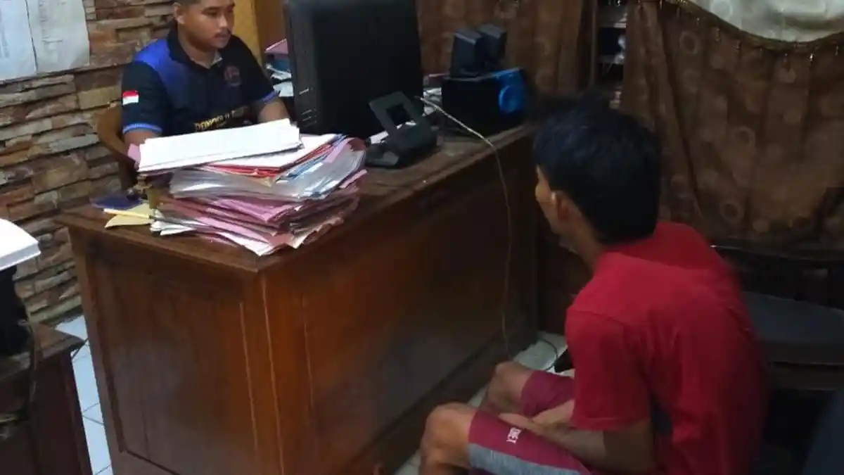 Nekat Curi Cabai Hijau 29 Kilogram di Sawah Warga, Pria Asal Kediri ...