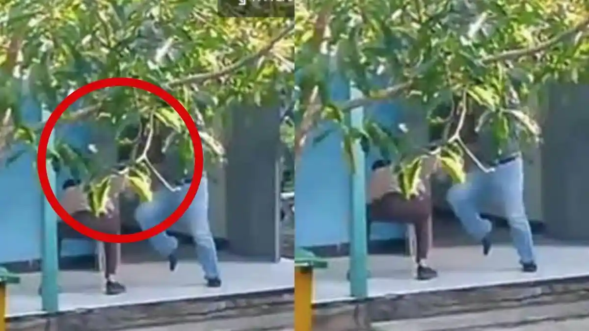 10 Fakta Kasus Viral Guru Diduga Aniaya Siswa SMA Berkebutuhan Khusus ...