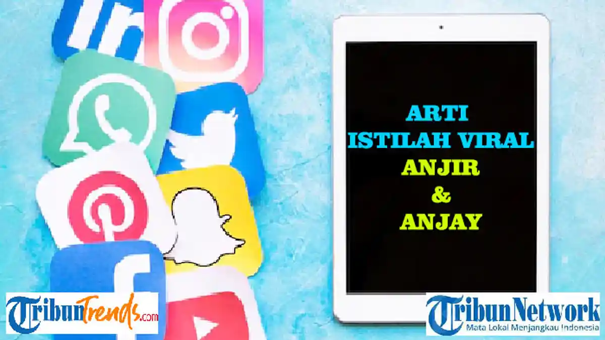Apa Arti Anjir dan Anjay, Istilah Viral di TikTok? Kata Populer Ini ...