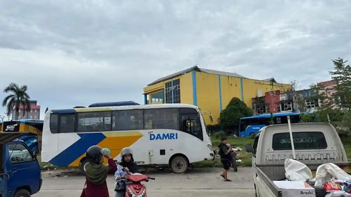 Jadwal Bus Damri Tanjung Selor Hari Ini, Layani Rute hingga Samarinda ...