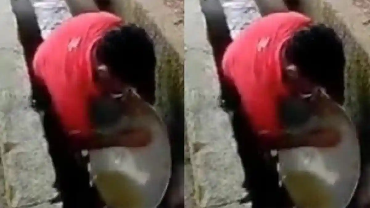 Penjual Roti Canai Cuci Wajan Pakai Air Got Bikin Warganet Murka ...