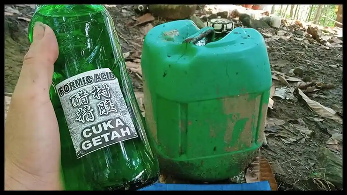 Tenggak Cuka Getah, Pasutri di Tebo Ilir Meninggal, Polisi Dalami ...