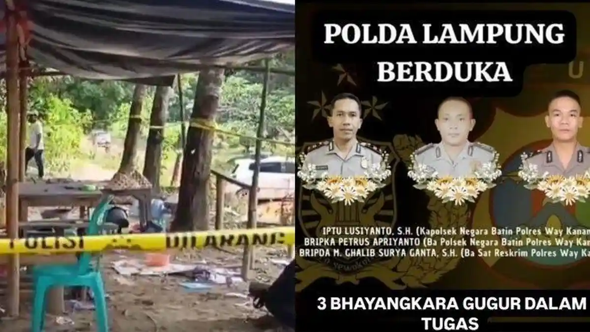 Dugaan 3 Polisi Ditembak TNI Dari Dekat, Gerebek Judi Sabung Ayam ...
