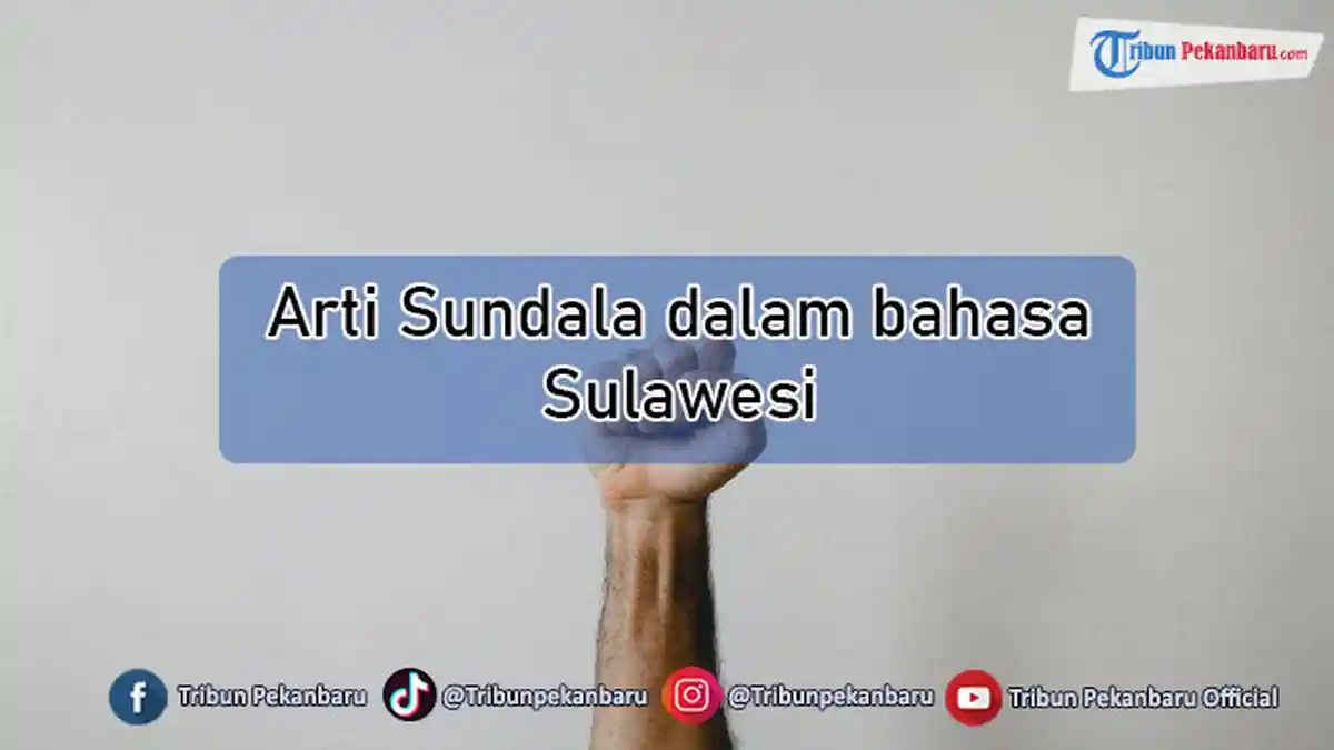 Arti Sundala Dalam Bahasa Sulawesi Itu Apa Sih? Dilarang Pakai ...