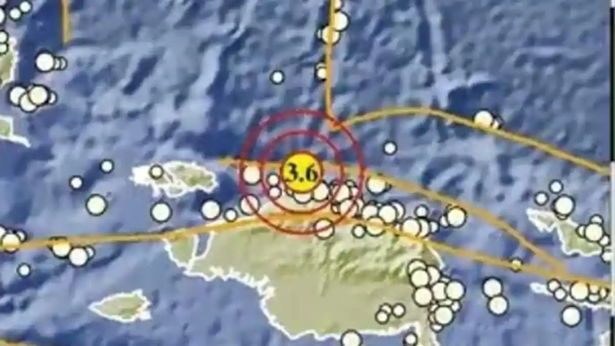 Baru Saja Gempa Terkini M 3.6 di Tambrauw Papua Barat Daya, Cek Info ...