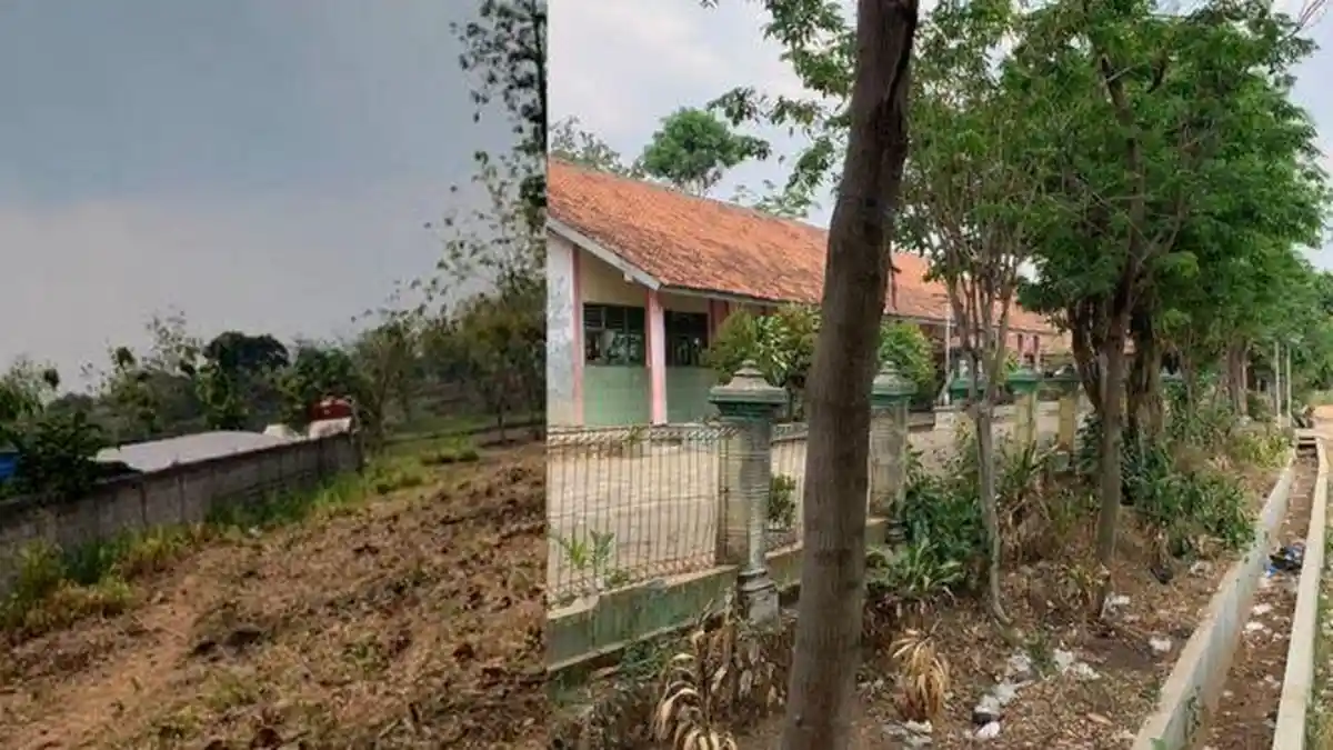 Ditinggal 2 Tahun, Mbah Siyem Nangis Tanahnya 1,7 Hektar Kini Jadi SD ...