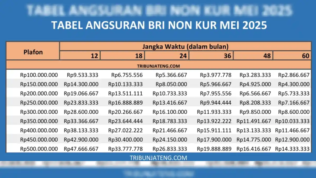 Rincian Tabel Angsuran BRI Non KUR 2025, Pinjam Rp 35 Juta Cicilan Per ...
