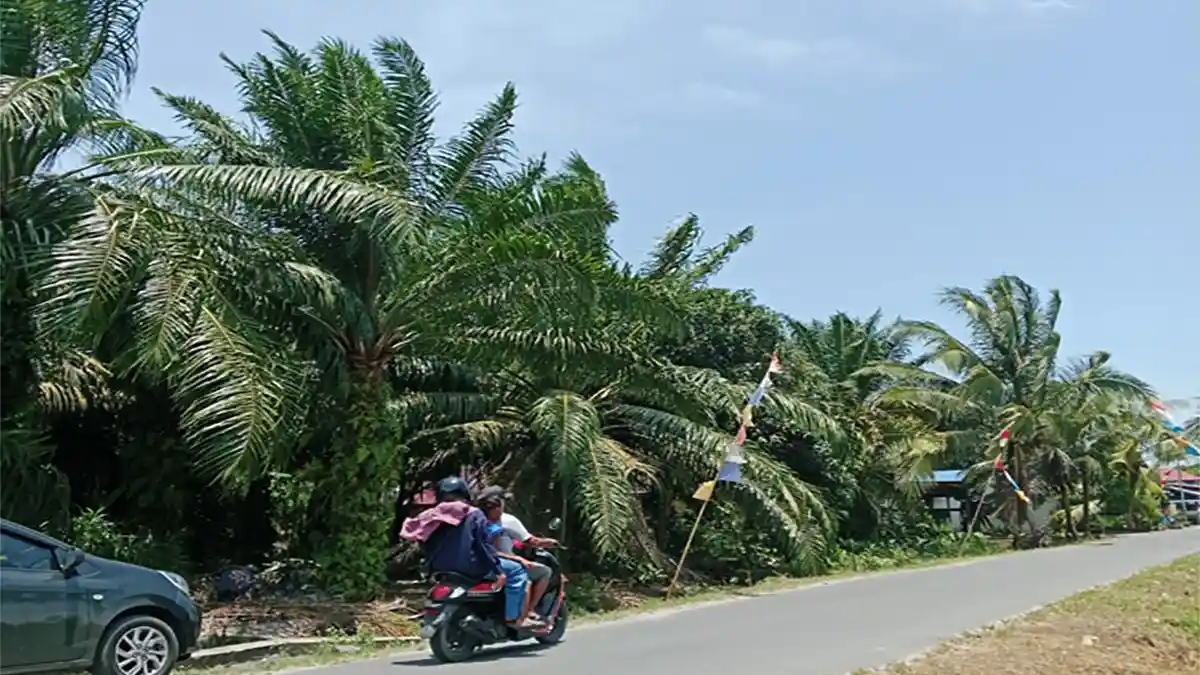 Jalan Rusak di Tangaran Dikeluhkan, Warga Patungan Timbun Jalan ...