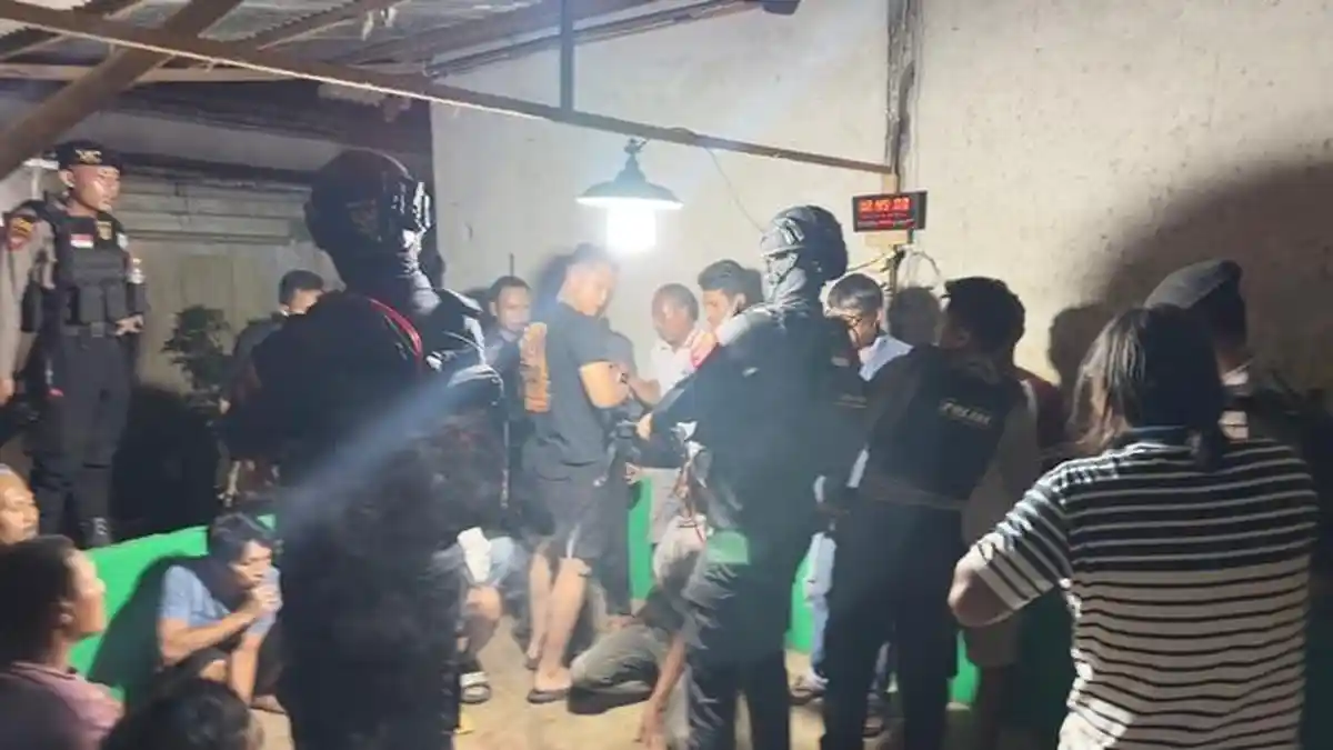 Judi Sabung Ayam di PT HER Digrebek Polresta Balikpapan, Amankan 5 ...