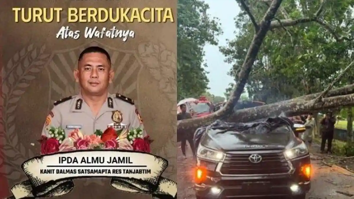 PILU Ipda Almu Jamil Tewas, Tertimpa Pohon Tumbang dalam Mobil Bersama ...