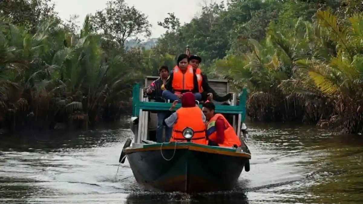 Jangan Hanya Tangkap Pekerja, Seret Pemodal Perusak Hutan Lindung ...