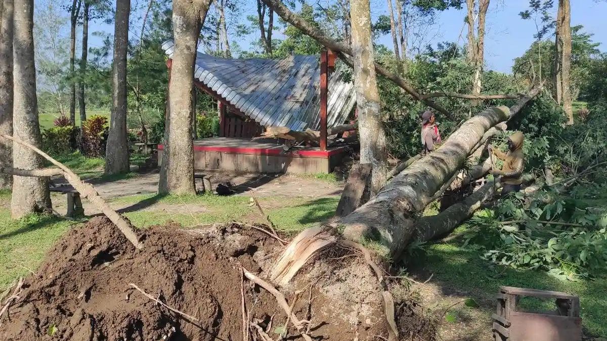 Destinasi Wisata Bon C Garum Blitar Terdampak Angin Kencang, Sejumlah ...