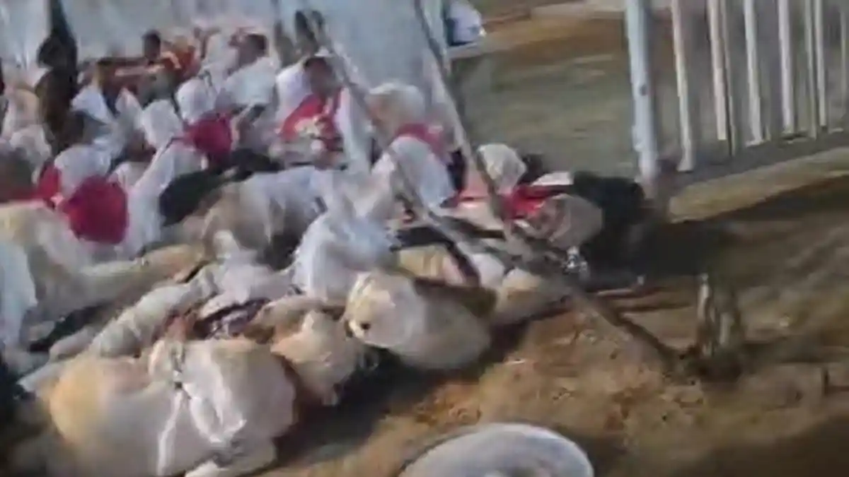 Viral Video Jemaah Haji Asal Kolaka Sulawesi Tenggara Terlantar di ...