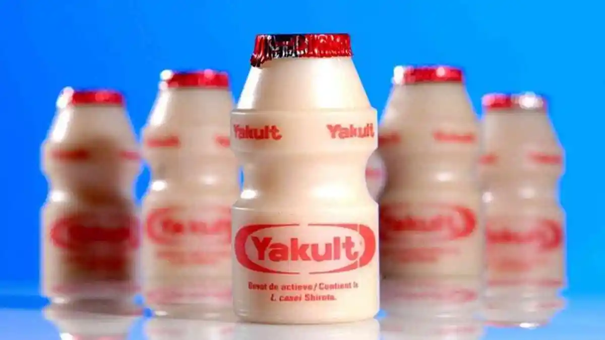Lowongan Kerja PT Yakult Terbaru 2026 Buka Banyak Posisi Lengkap Syarat ...