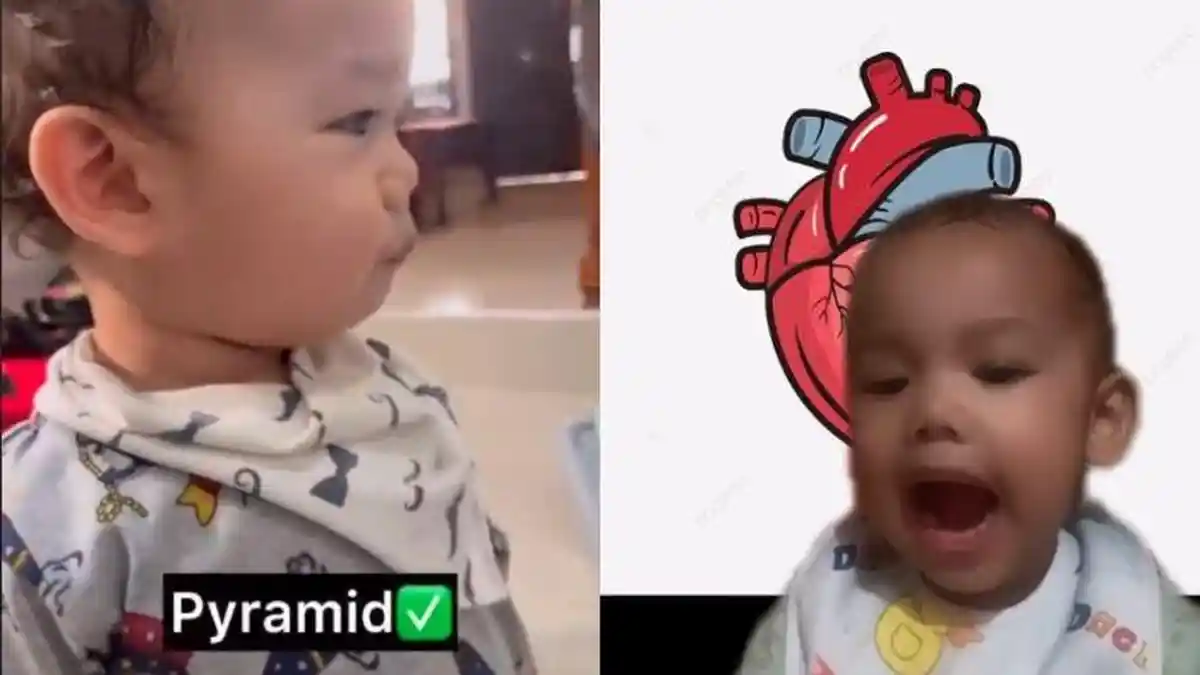 Viral Sosok Bayi Jenius 'Kenkulus', Usia 21 Bulan Sudah Hafal Rumus ...