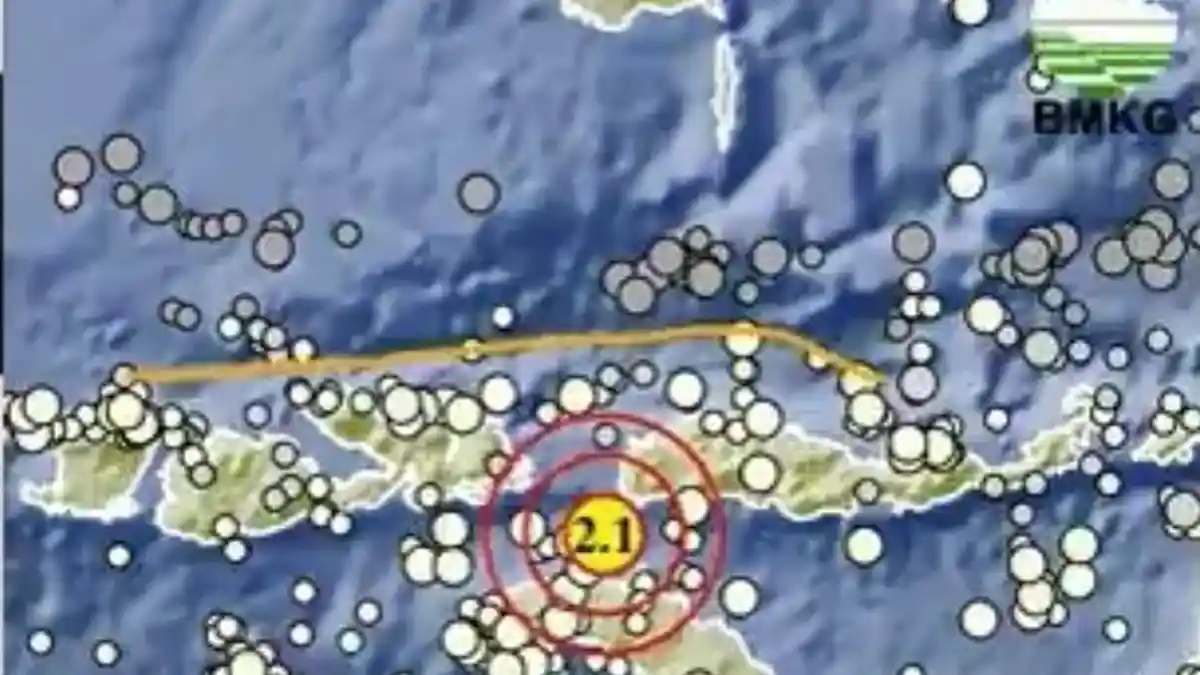 Gempa Terkini Selasa 30 Desember 2025 Siang Ini, Baru Terjadi, Info ...
