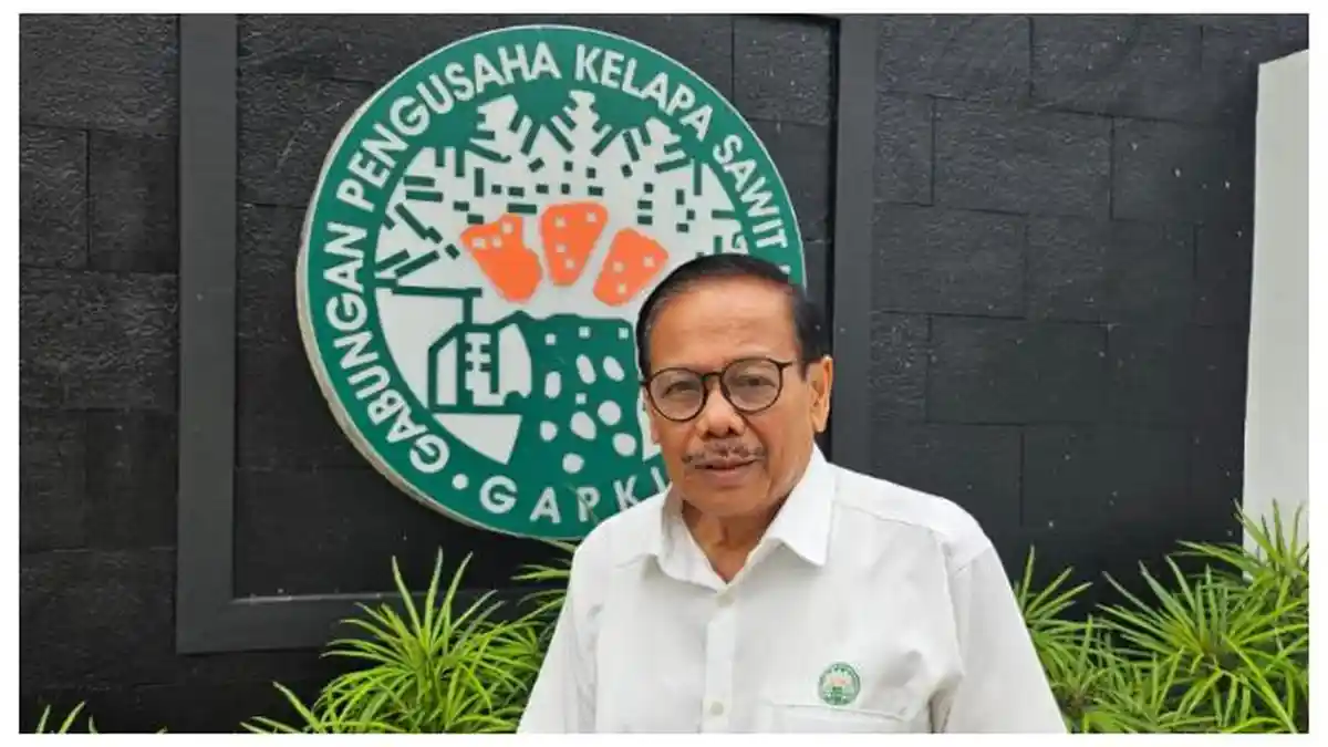 Harga Sawit di Kalteng Turun, GAPKI Minta Pemerintah Cari Solusi ...