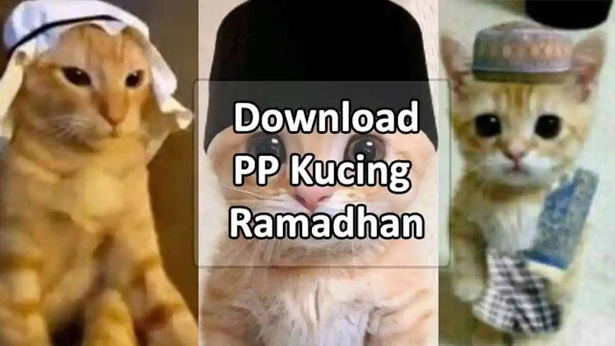 Download Gambar PP Kucing Ramadhan Untuk Foto Profil Tiktok, IG dan WA ...