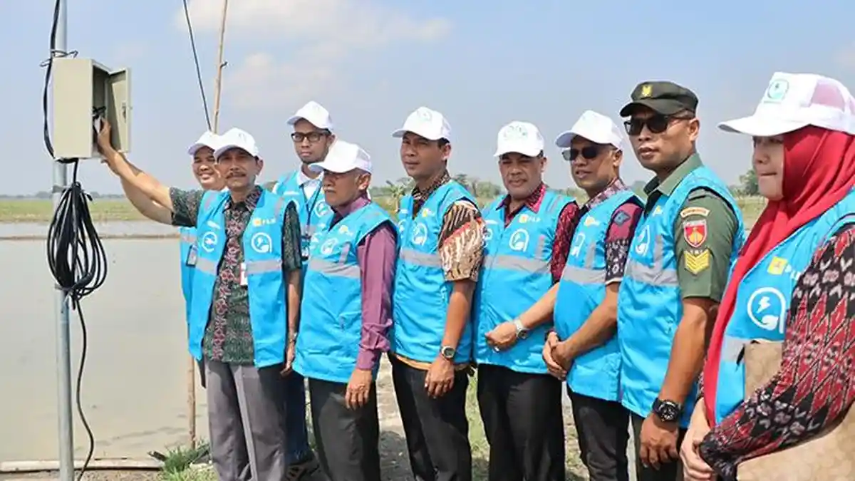 Terima Kasih PLN, Kelompok Tani di Sragen Sumringah, Bisa Penan 3 Kali ...