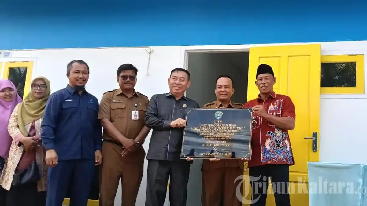 Rumah Produksi Ikan di Tanjung Palas Bulungan Dorong Rantai Nilai dan ...