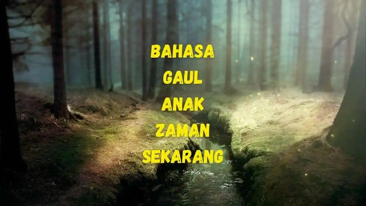 Arti Kata ‘Nolep’ Bahasa Viral di Komentar TikTok, Ramai Disebut Para ...