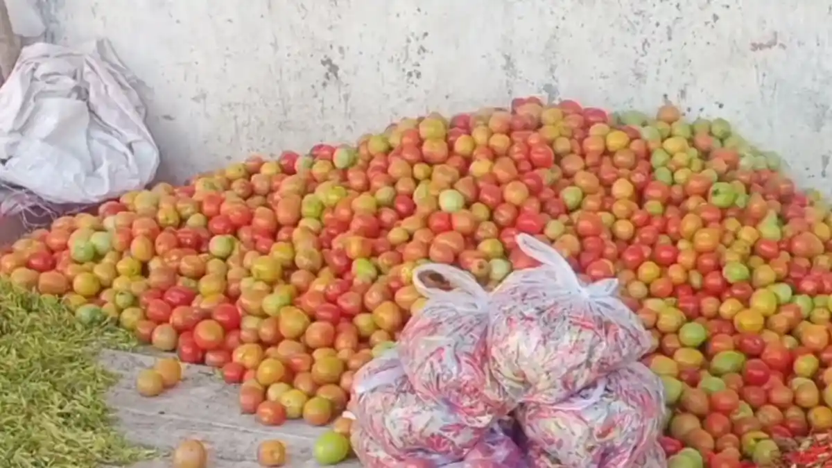 Stok Tomat di Pasar Baru Kefamenanu Melimpah Ruah, Harganya Langsung ...