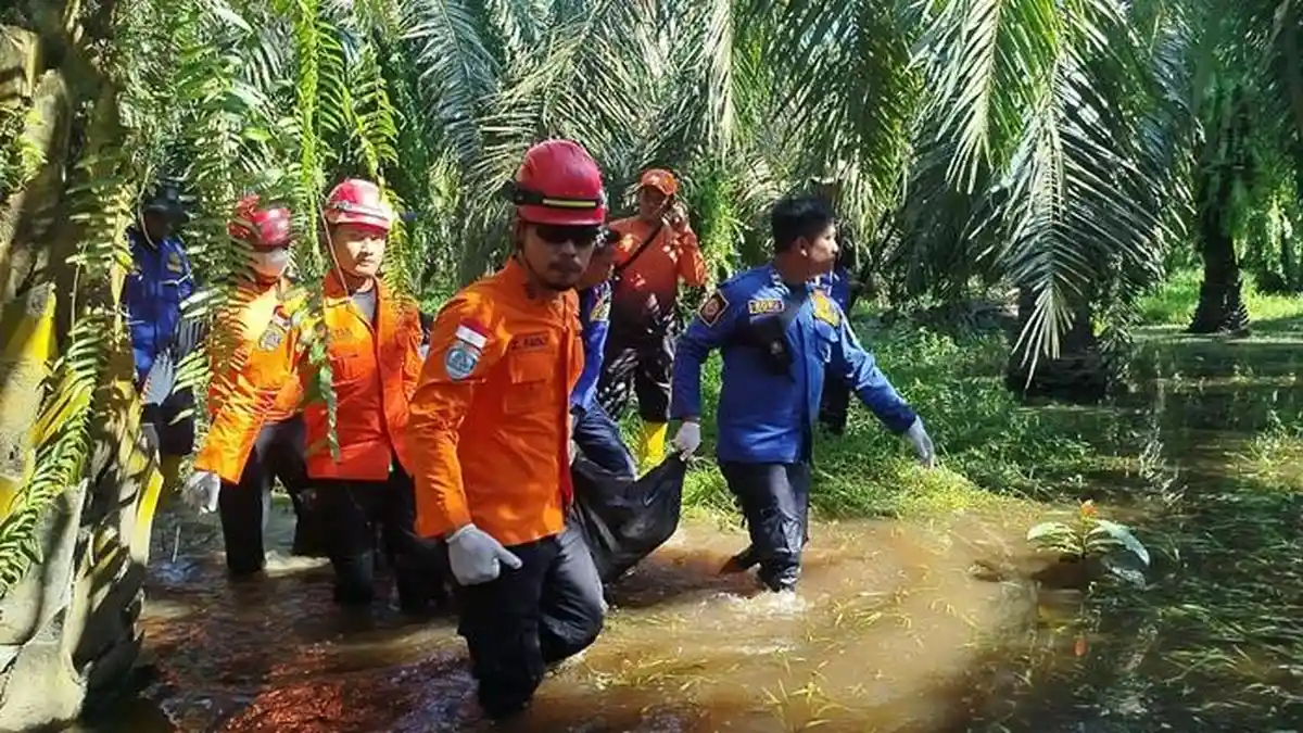 Terperosok ke Kolam, Pencari Berondolan Sawit Ditemukan Meninggal ...