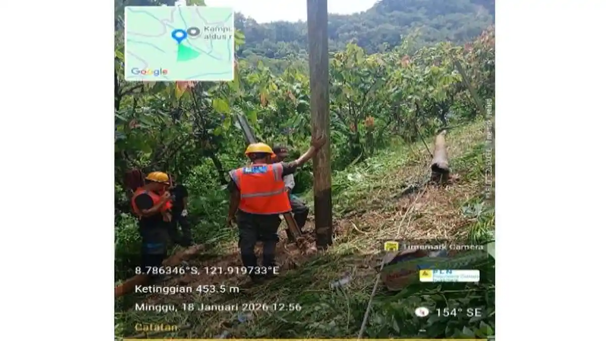Protes Warga Ndori Imbas Pemadaman Listrik, PLN ULP Ende Buka Suara ...