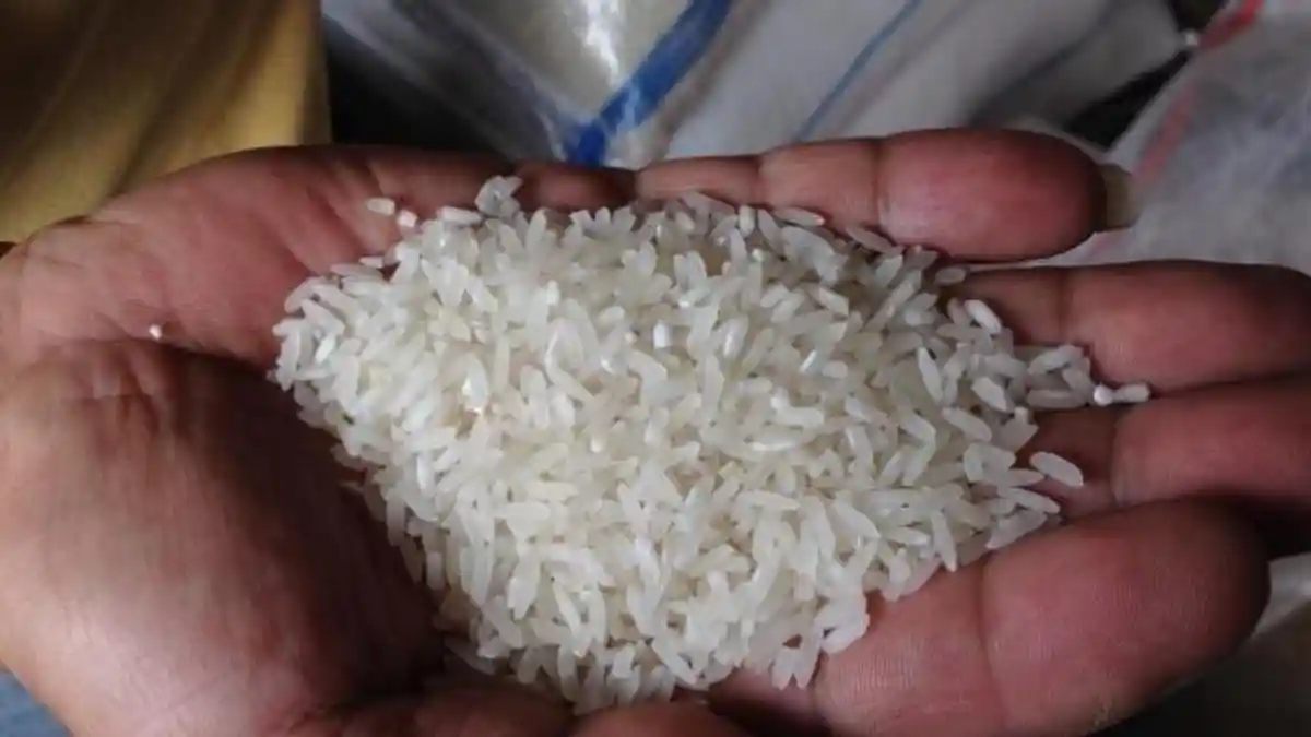 Malaysia Siap Borong 500.000 Ton Beras Premium Indonesia, Minta Harga ...