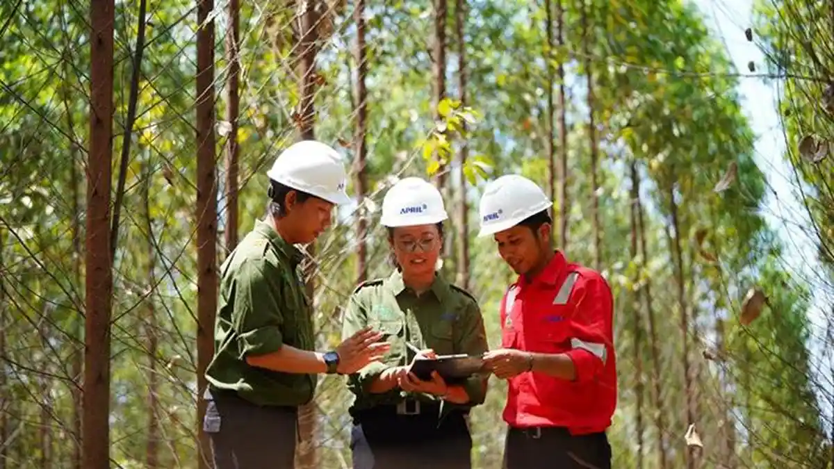 Angkat Tema Kehutanan dan Keberlanjutan, AJAA 2025 RAPP Kembali Digelar ...