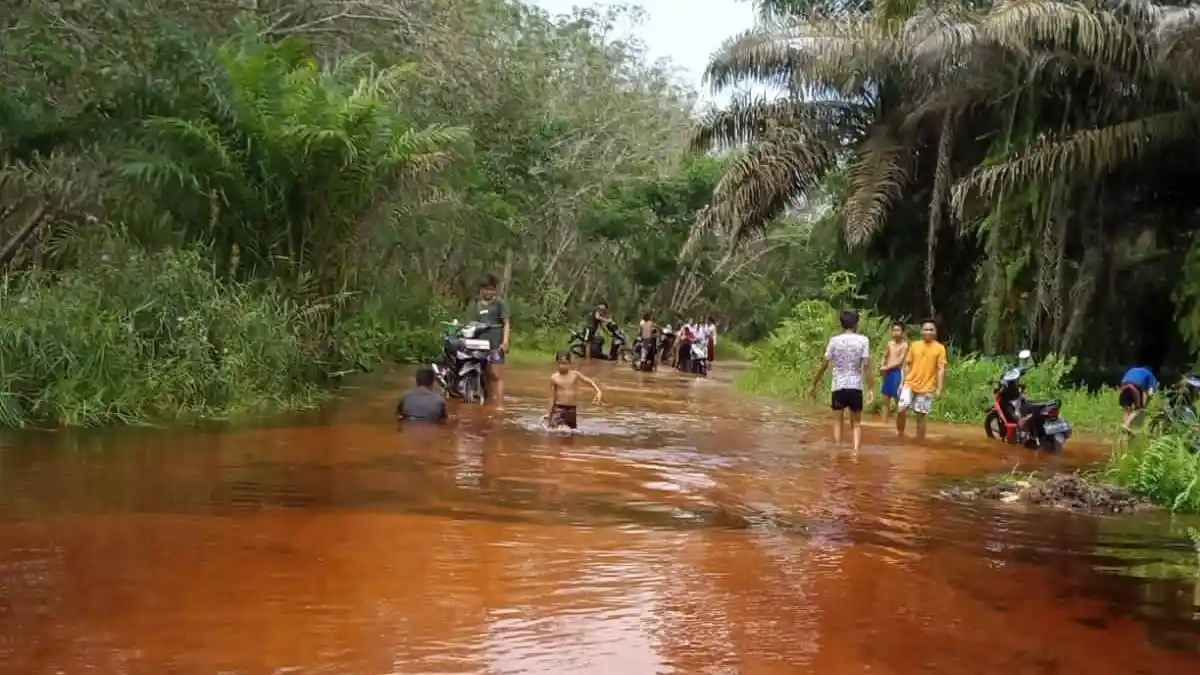 Teluk Meranti Dilanda Air Pasang, Banjir di Pelalawan Bertahan di 5 ...