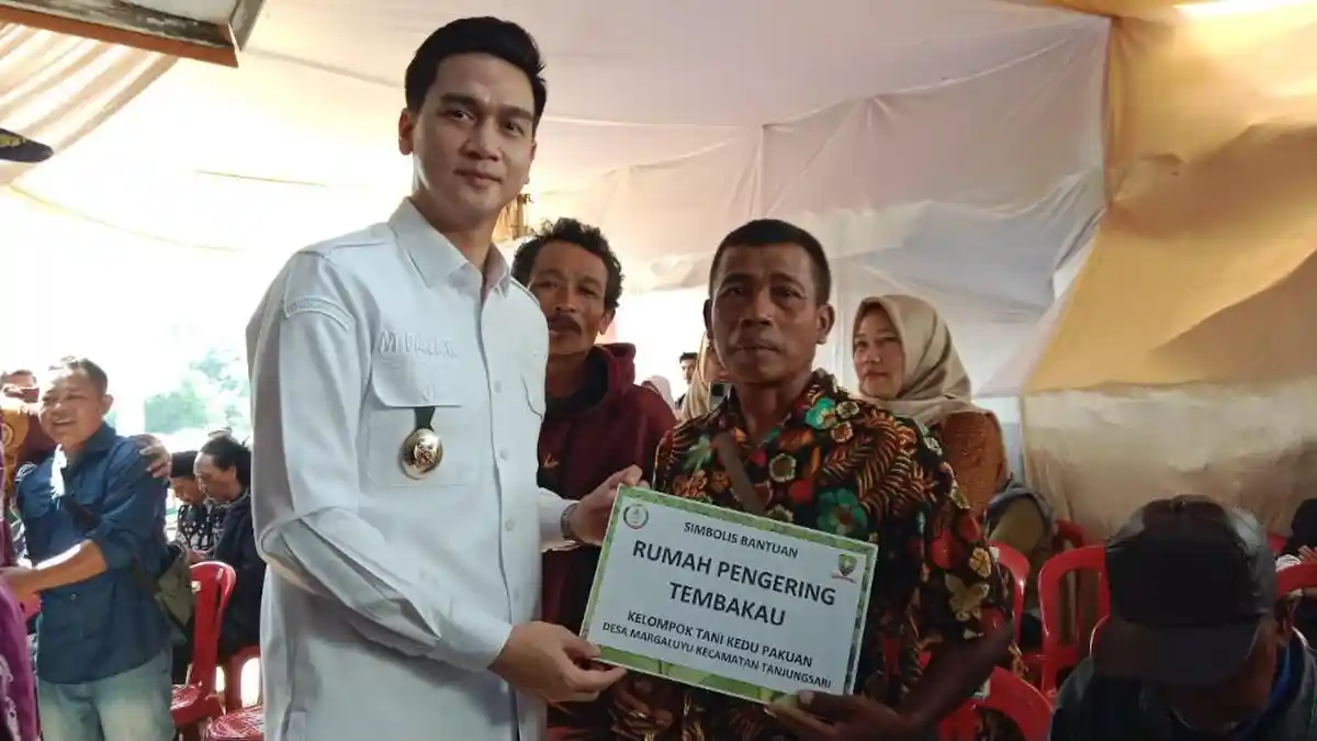 Wabup Fajar Aldila Serahkan Bantuan ke Petani Tembakau, Dorong Produksi ...