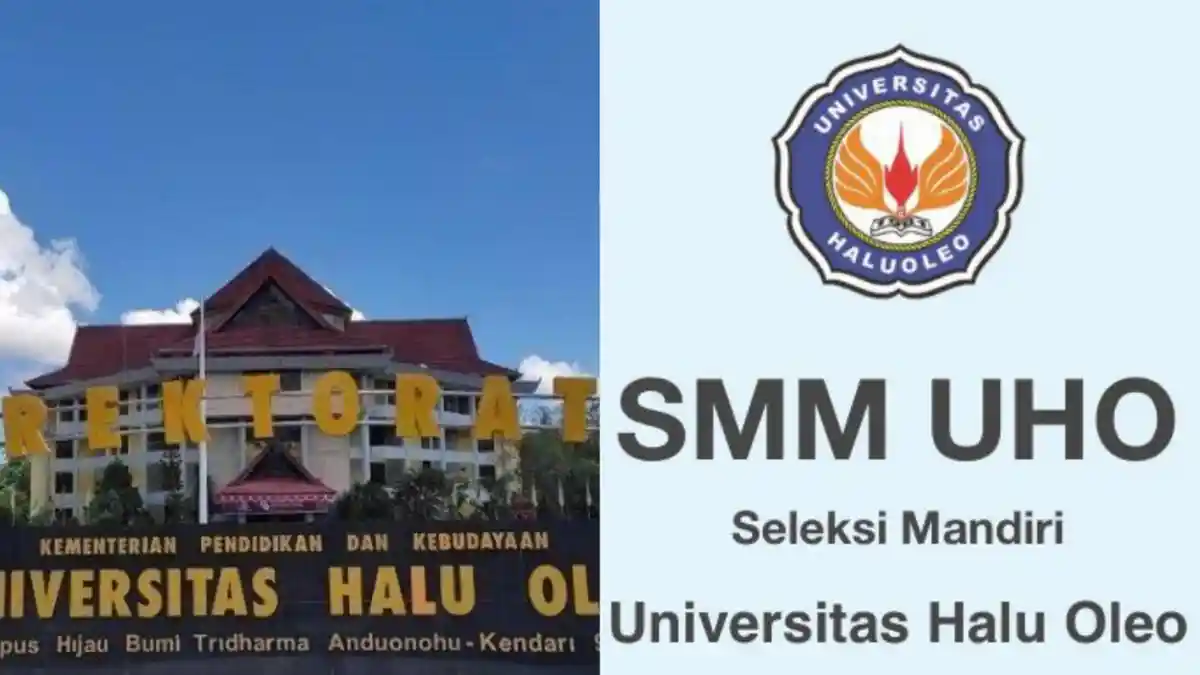 Cek Daya Tampung Prodi Jalur SMM 2024 di UHO Kendari, Ilmu Kesehatan ...