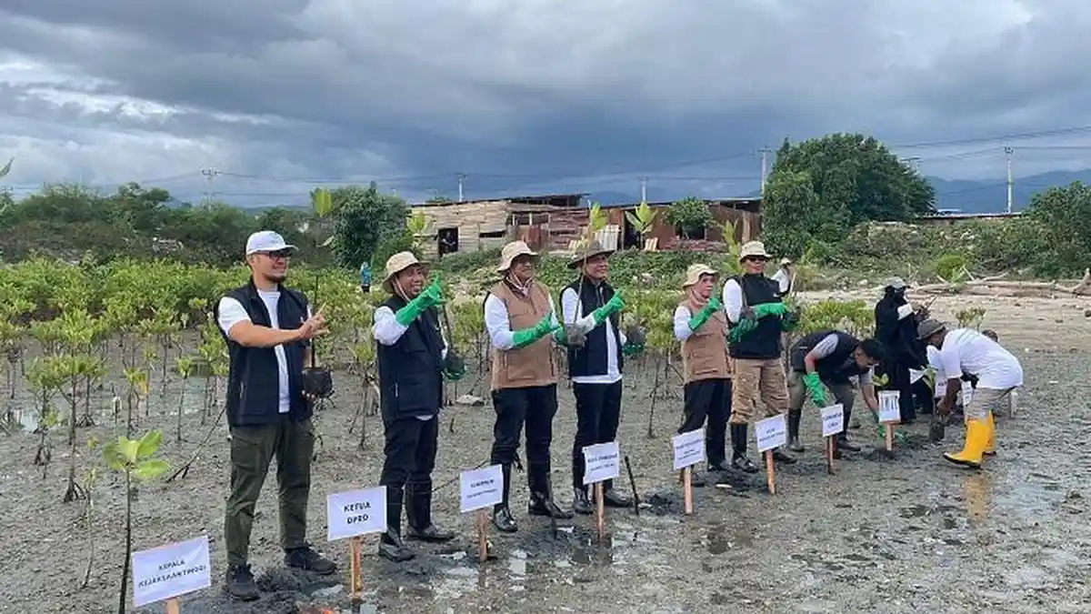Peringati Hari Lingkungan Hidup, DLH Sulteng Tanam 700 Bibit Mangrove ...